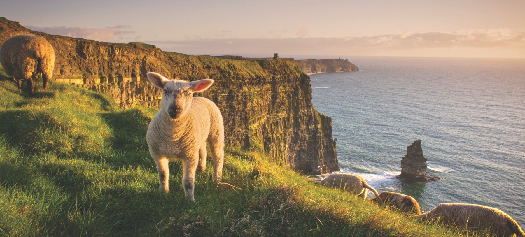 Shannon Region Destination Guide & Trips - Brendan Vacations US